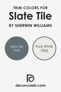 Slate Tile SW-7624 Paint Color by Sherwin-Williams