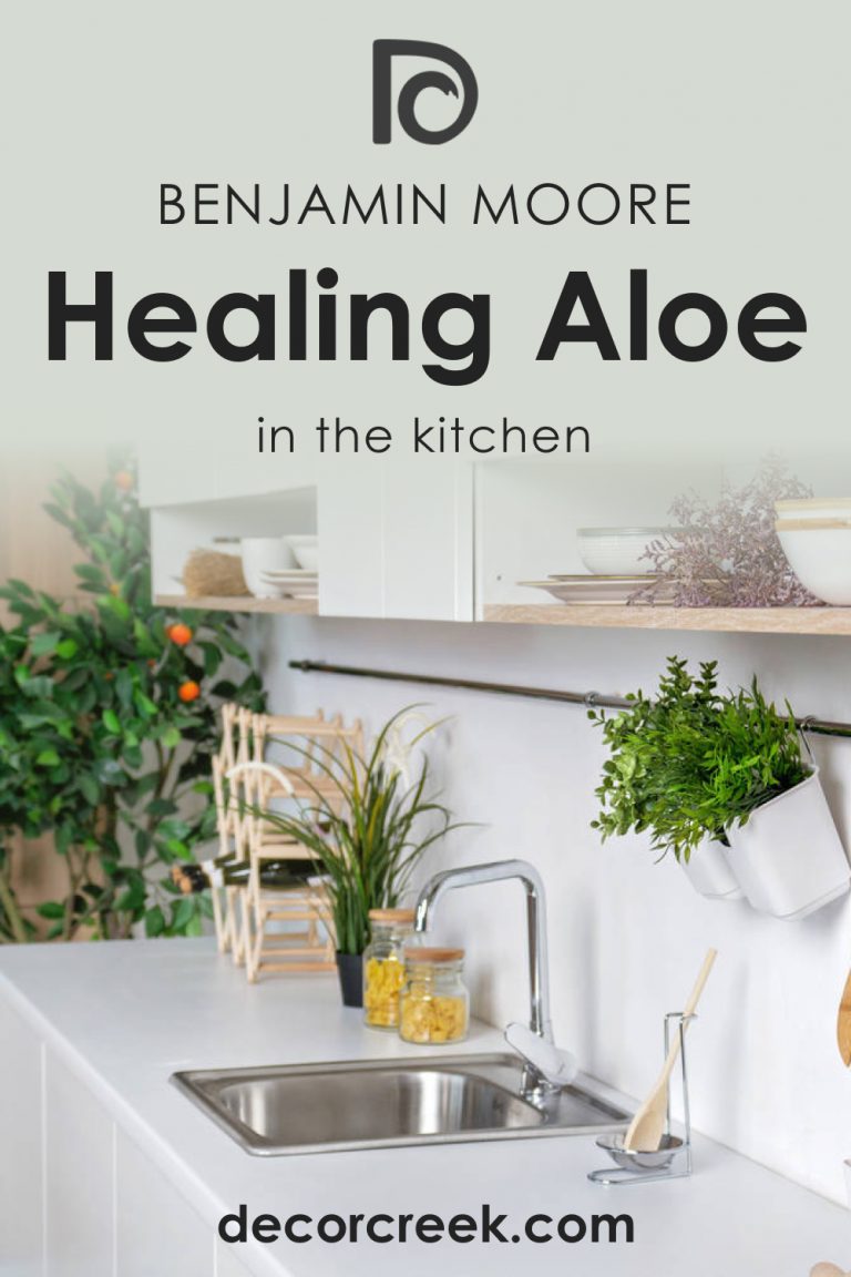 Healing Aloe BM 1562 Paint Color by Benjamin Moore