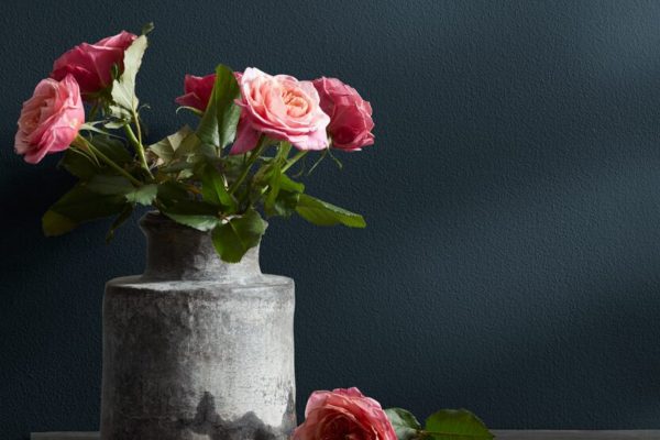 Blue Note 2129-30 Paint Color by Benjamin Moore - DecorCreek