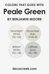 Blue Note 2129-30 Paint Color by Benjamin Moore - DecorCreek