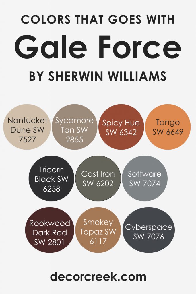 Gale Force SW 7605 Paint Color by Sherwin Williams - DecorCreek