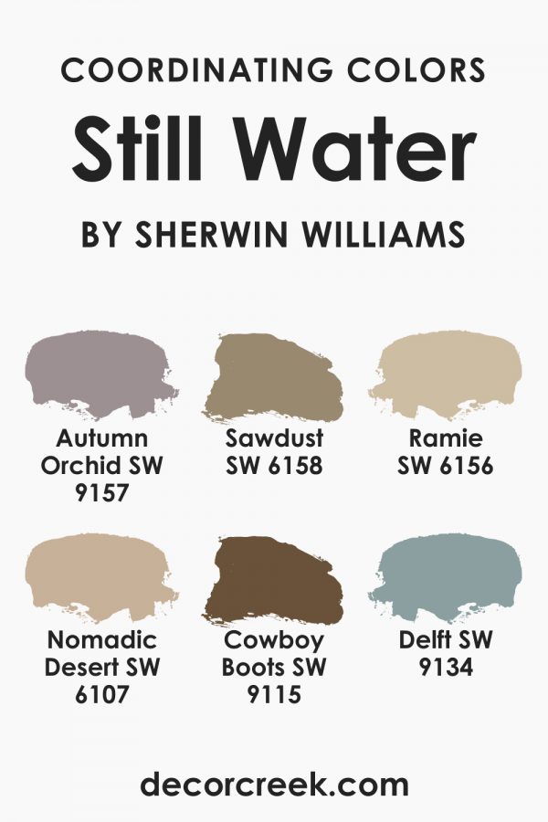 Still Water SW 6223 Paint Color by Sherwin Williams - DecorCreek