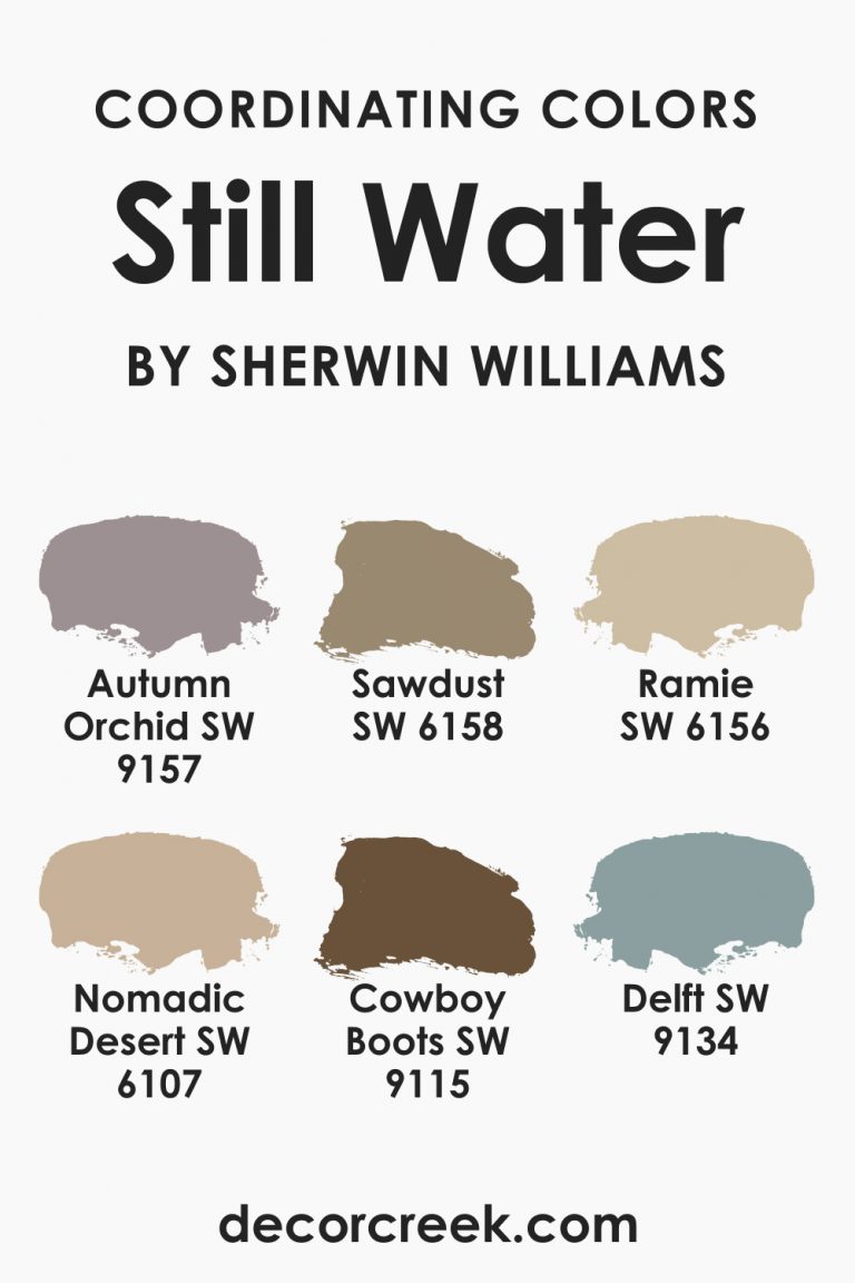 Still Water SW 6223 Paint Color by Sherwin Williams - DecorCreek