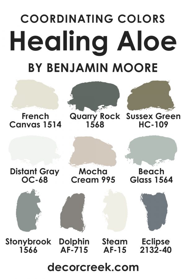 Healing Aloe BM 1562 Paint Color by Benjamin Moore