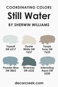 Still Water SW 6223 Paint Color by Sherwin Williams - DecorCreek