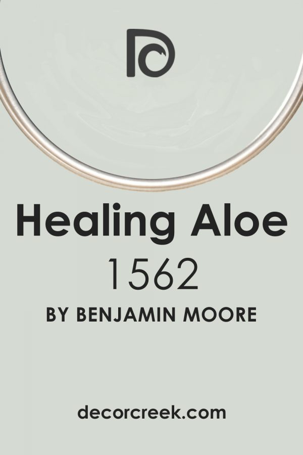 Healing Aloe BM 1562 Paint Color by Benjamin Moore