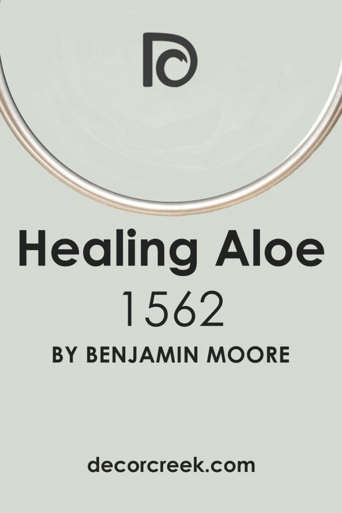 Healing Aloe BM 1562 Paint Color by Benjamin Moore