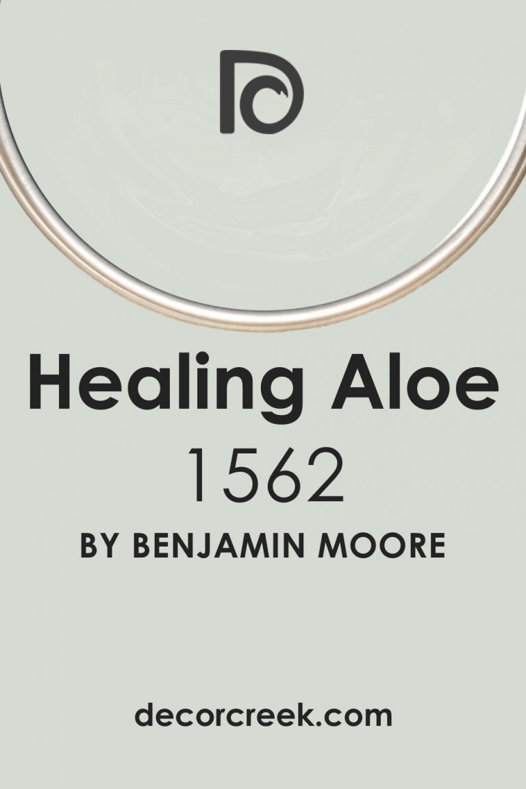 Healing Aloe BM 1562 Paint Color by Benjamin Moore