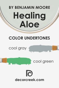 Healing Aloe BM 1562 Paint Color by Benjamin Moore