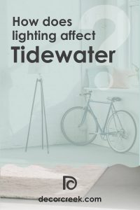 Tidewater SW 6477 Paint Color by Sherwin-Williams - DecorCreek