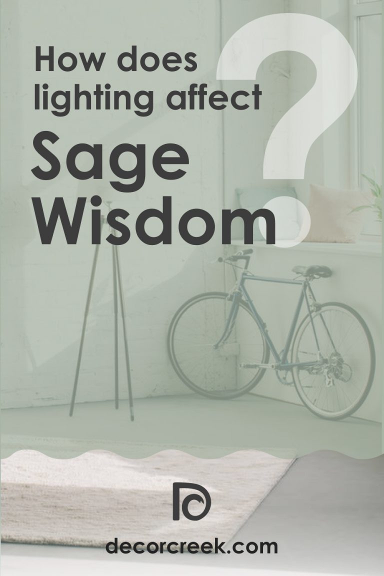Sage Wisdom CSP-775 Paint Color by Benjamin Moore - DecorCreek