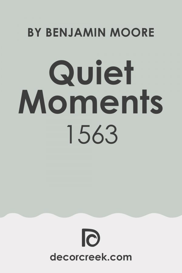 Quiet Moments BM 1563 Paint Color by Benjamin Moore - DecorCreek