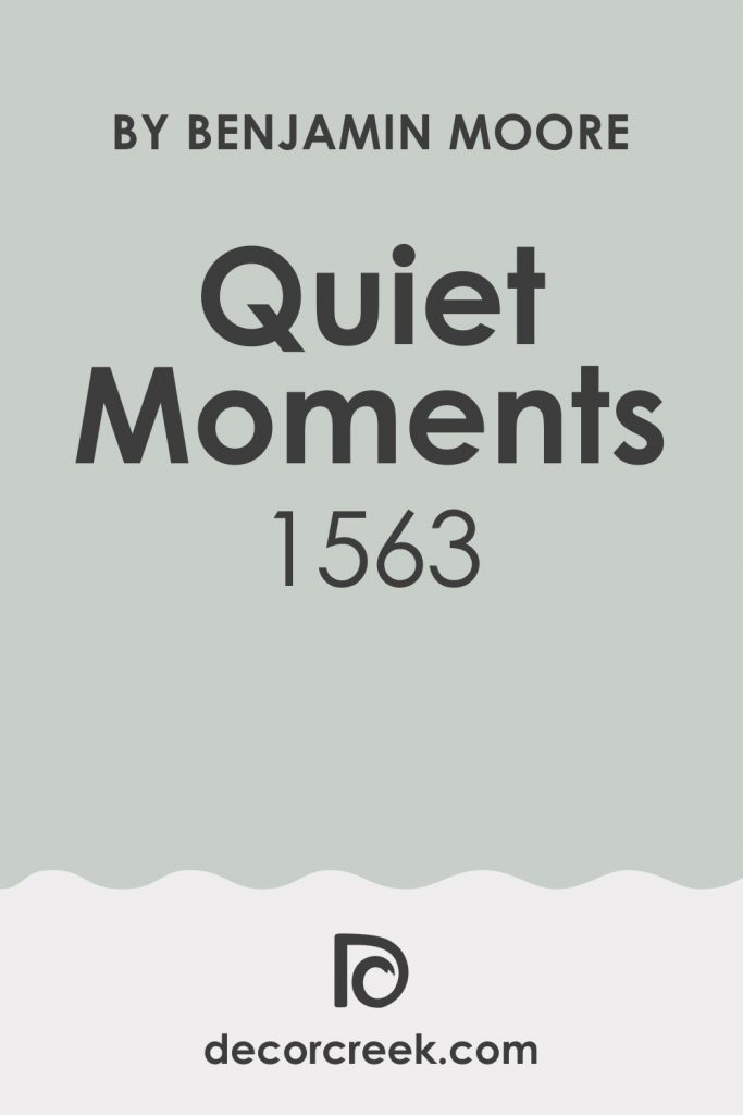 Quiet Moments BM 1563 Paint Color by Benjamin Moore - DecorCreek