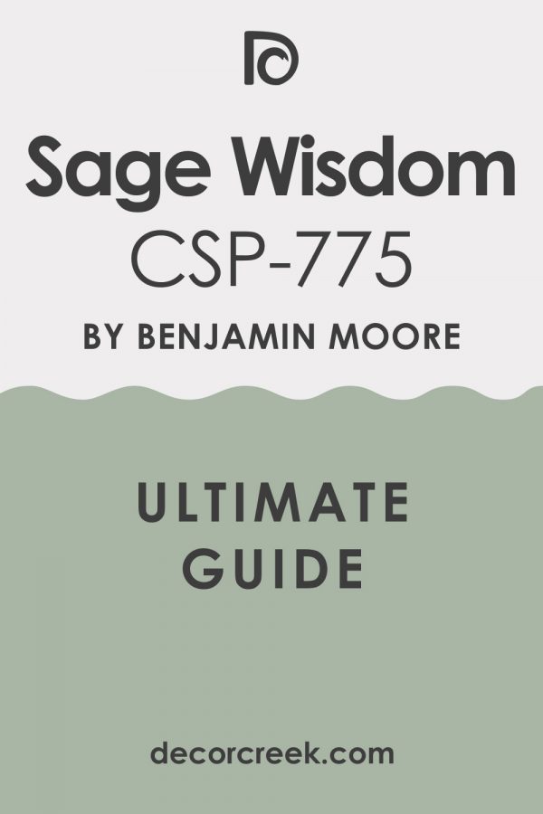 Sage Wisdom CSP-775 Paint Color by Benjamin Moore - DecorCreek