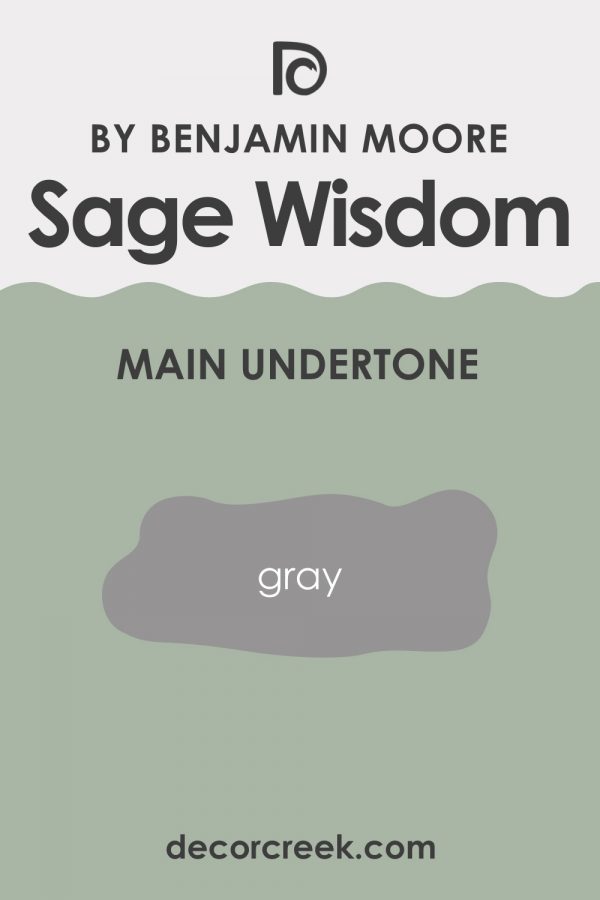 Sage Wisdom CSP-775 Paint Color by Benjamin Moore - DecorCreek