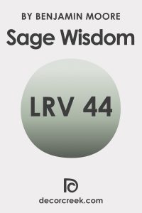 Sage Wisdom CSP-775 Paint Color by Benjamin Moore - DecorCreek