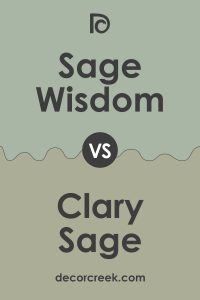 Sage Wisdom CSP-775 Paint Color by Benjamin Moore - DecorCreek