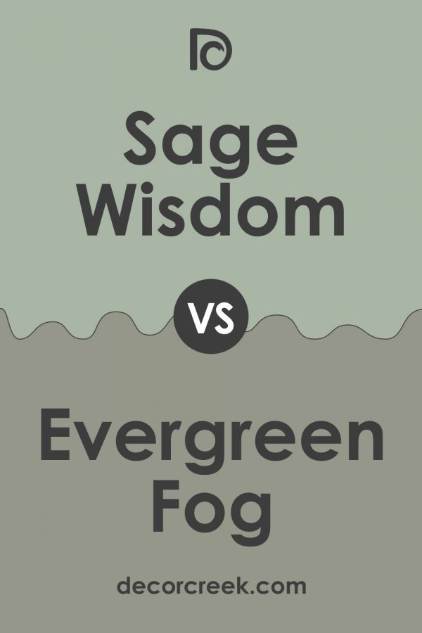 Sage Wisdom CSP-775 Paint Color by Benjamin Moore - DecorCreek