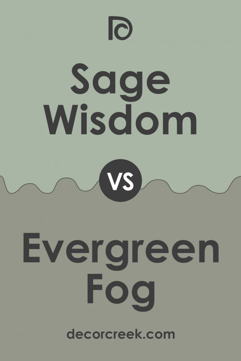 Sage Wisdom CSP-775 Paint Color by Benjamin Moore - DecorCreek