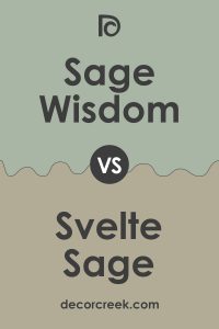 Sage Wisdom CSP-775 Paint Color by Benjamin Moore - DecorCreek