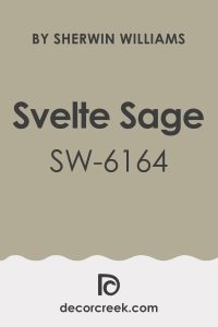 Svelte Sage SW-6164 Paint Color by Sherwin-Williams - DecorCreek