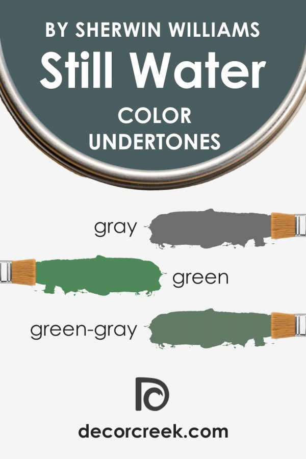 Still Water SW 6223 Paint Color by Sherwin Williams - DecorCreek