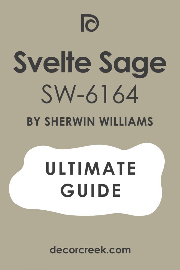 Svelte Sage SW-6164 Paint Color by Sherwin-Williams - DecorCreek