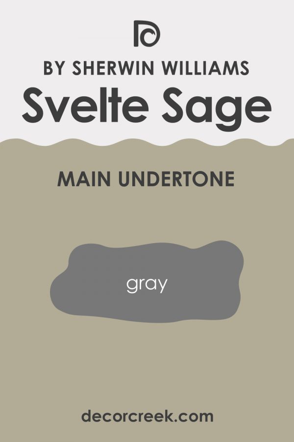 Svelte Sage SW-6164 Paint Color by Sherwin-Williams - DecorCreek