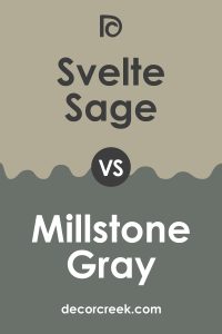 Svelte Sage SW-6164 Paint Color by Sherwin-Williams - DecorCreek