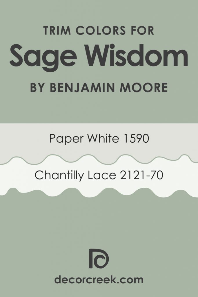 Sage Wisdom CSP-775 Paint Color by Benjamin Moore - DecorCreek
