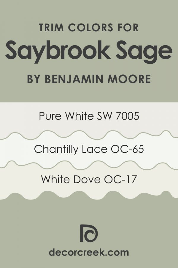Saybrook Sage HC-114 Paint Color by Benjamin Moore - DecorCreek