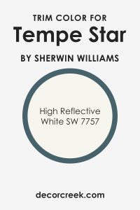 Tempe Star SW 6229 Paint Color by Sherwin-Williams - DecorCreek
