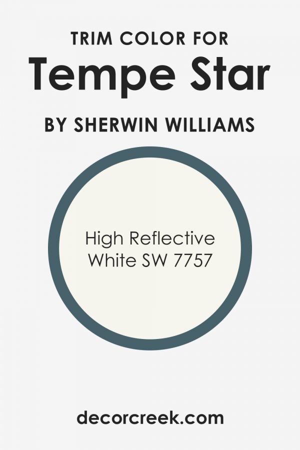 Tempe Star SW 6229 Paint Color by Sherwin-Williams - DecorCreek