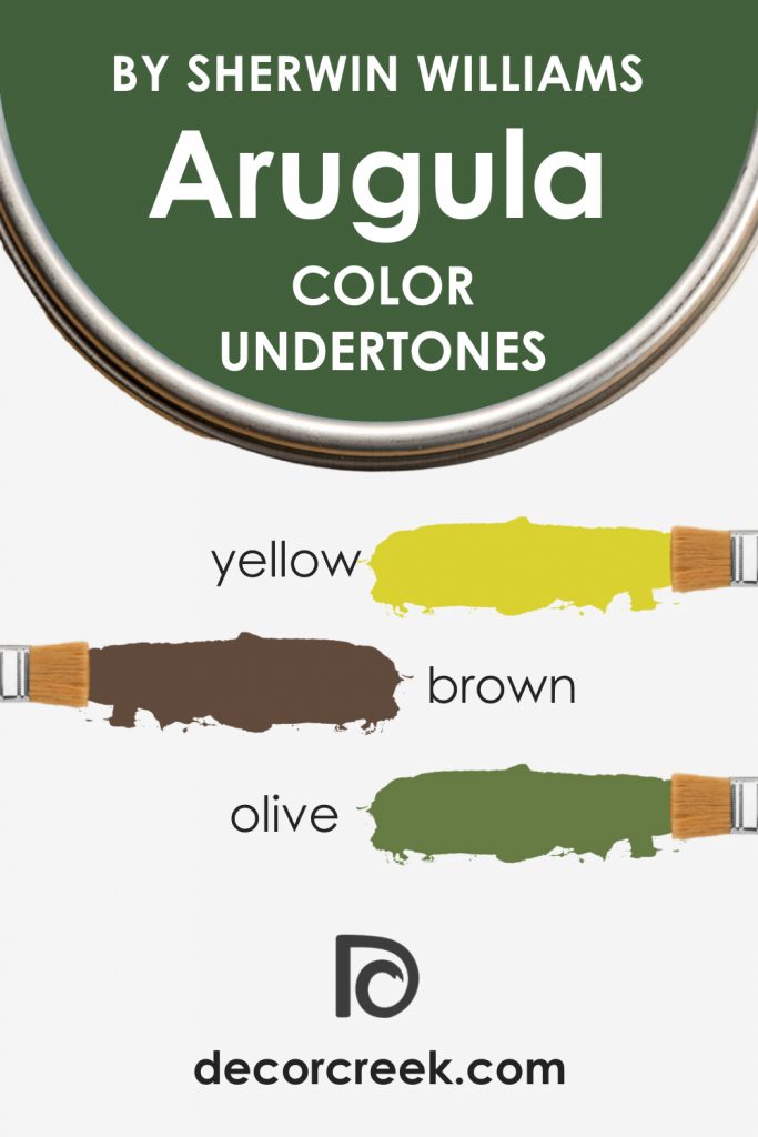Arugula SW 6446 Paint Color by Sherwin-Williams - DecorCreek