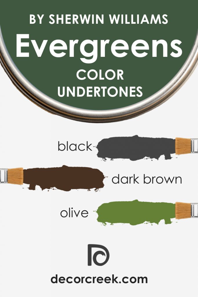 Evergreens SW 6447 Paint Color Sherwin-Williams