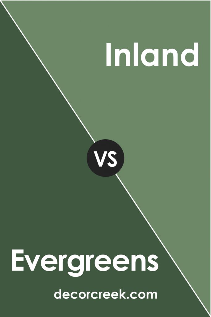 Evergreens SW 6447 Paint Color Sherwin-Williams