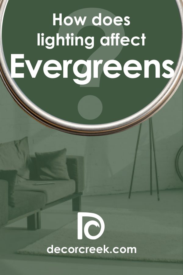 Evergreens SW 6447 Paint Color Sherwin-Williams