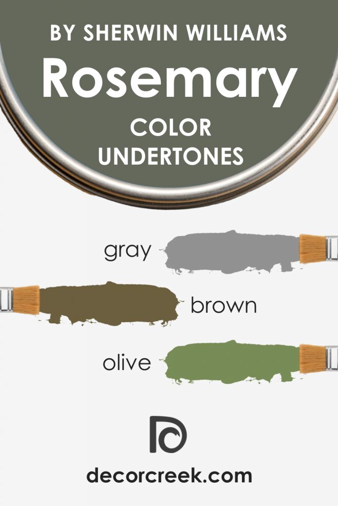 Rosemary SW 6187 Paint Color by Sherwin-Williams - DecorCreek