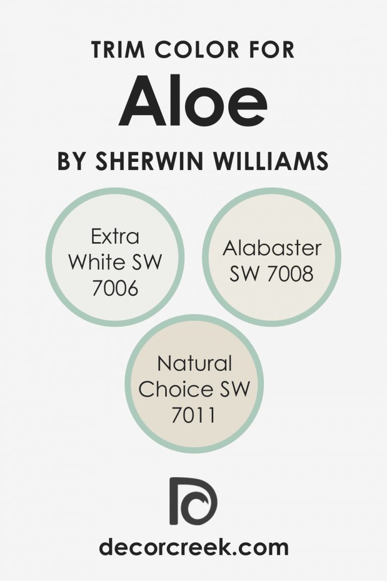 Aloe SW 6464 Paint Color by Sherwin-Williams - DecorCreek