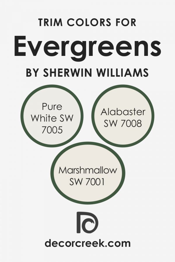 Evergreens SW 6447 Paint Color Sherwin-Williams