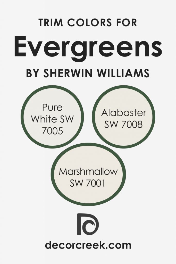 Evergreens SW 6447 Paint Color Sherwin-Williams