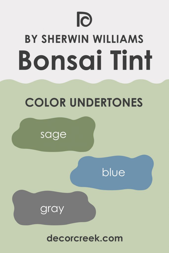 Bonsai Tint SW 6436 Paint Color by Sherwin-Williams - DecorCreek
