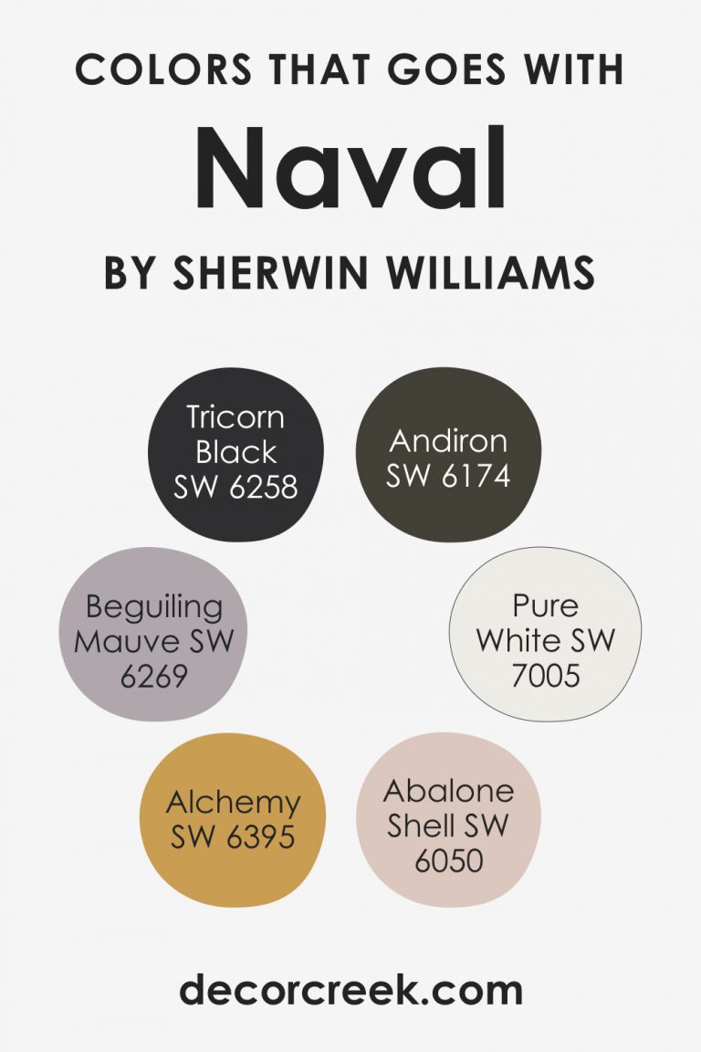 Naval SW 6244 Paint Color by Sherwin-Williams - DecorCreek