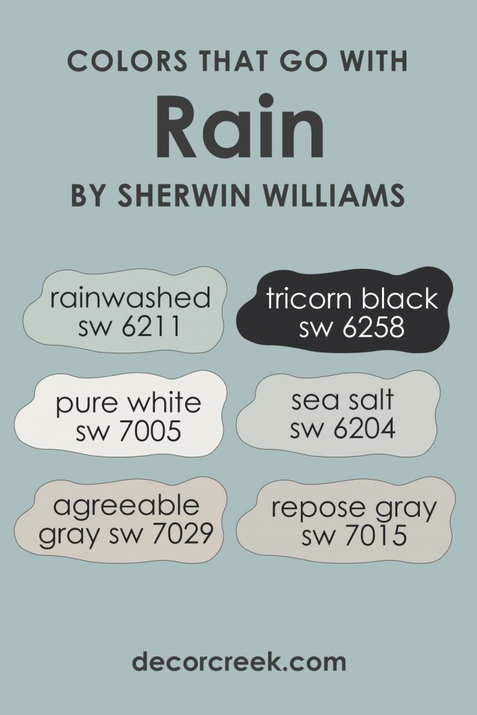 Rain SW 6219 Paint Color by Sherwin-Williams - DecorCreek