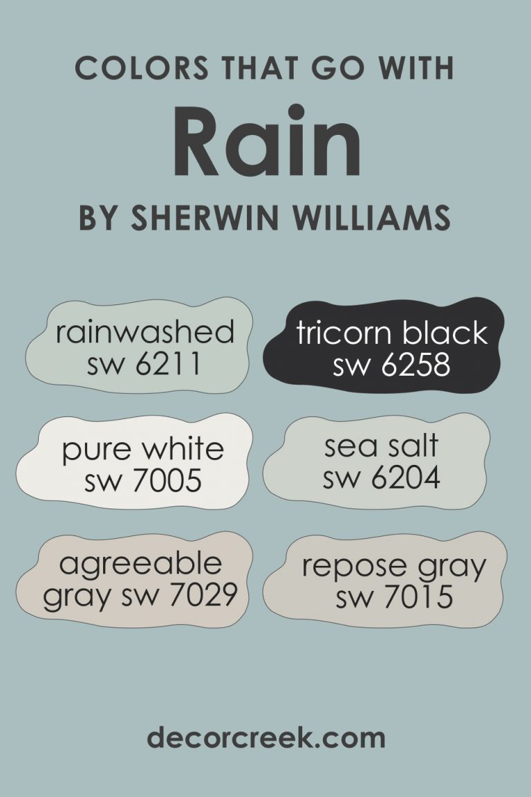 Rain SW 6219 Paint Color by Sherwin-Williams - DecorCreek