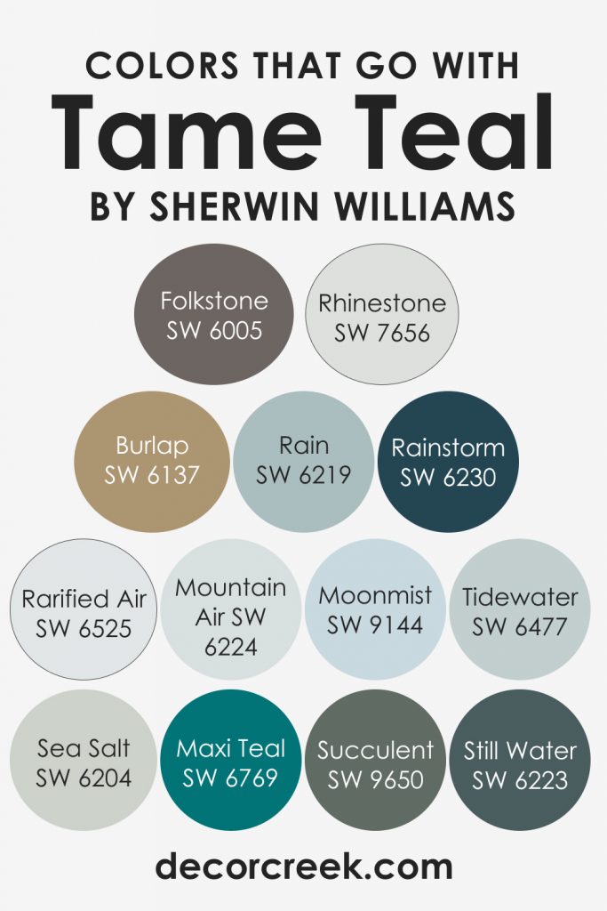 Tame Teal SW 6757 Paint Color by Sherwin-Williams