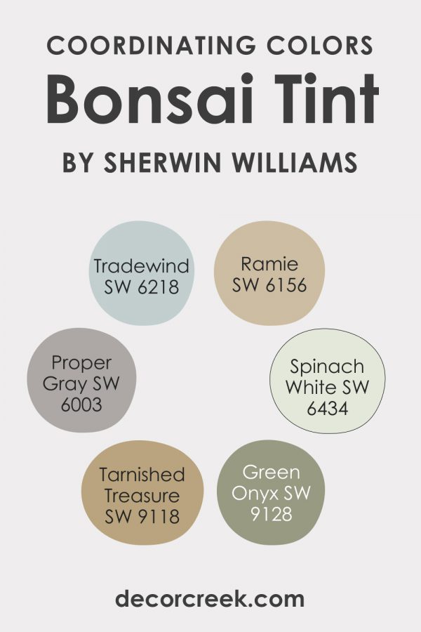 Bonsai Tint SW 6436 Paint Color by Sherwin-Williams - DecorCreek
