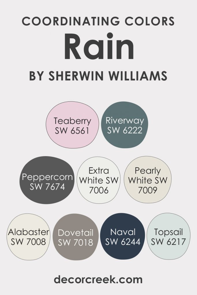 Rain SW 6219 Paint Color by Sherwin-Williams - DecorCreek