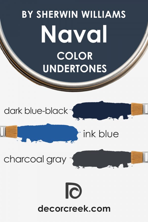 Naval SW 6244 Paint Color by Sherwin-Williams - DecorCreek