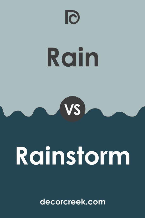 Rain SW 6219 Paint Color by Sherwin-Williams - DecorCreek